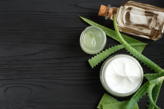 How To Make Homemade Sunscreen With Aloe Vera – Green Living Zone